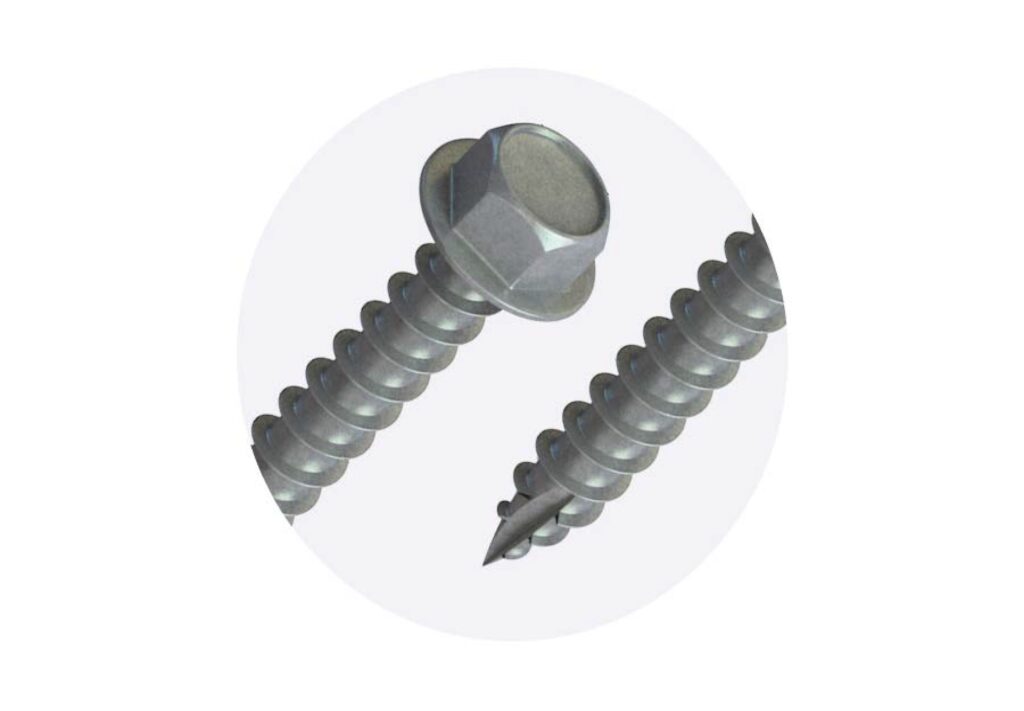 Stainless Steel Hex Head Sheet to Timber - Powell Gee